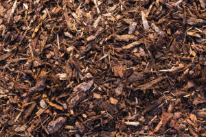 How to Use a Mulch Stay Spray 💦